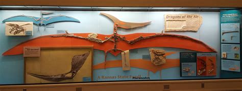 Tackling Pterosaurs Creation Clues