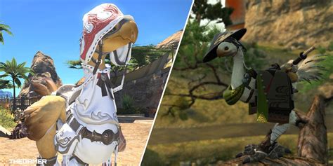 How To Get Every Type Of Chocobo Barding In Ffxiv
