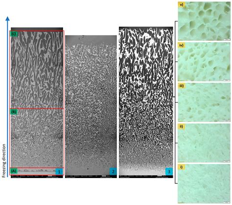 Development Of Structurally Graded Aluminapolymer Composites As