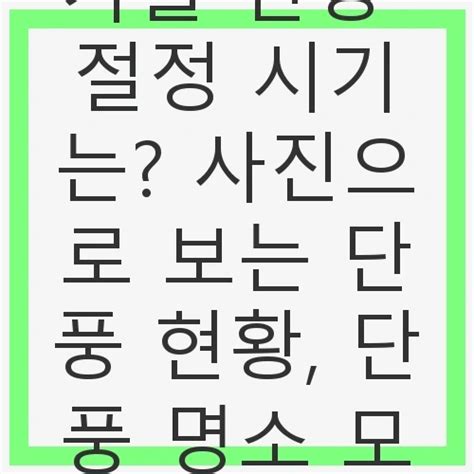 가을 단풍 절정 시기는 사진으로 보는 단풍 현황 단풍 명소 모음