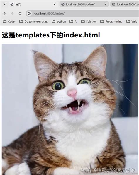 Django入门全攻略从零搭建你的第一个Web项目 阿里云开发者社区