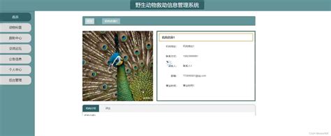 SSM毕设项目野生动物救助信息管理系统 l java VUE Mybatis Maven Mysql 野生动物救助管理系统 CSDN博客