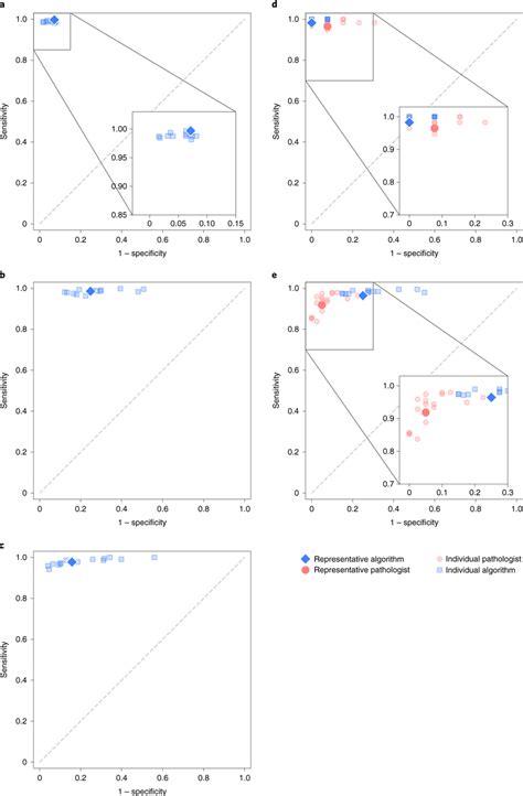 Algorithm Performance In Detecting Prostate Tumors On Validation Sets