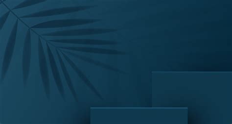 제품 브랜딩 및 패키징 프레젠테이션을 위한 화장품 배경 잎 배경의 그림자와 연단 무대에서 형상 양식 원 성형 벡터 디자인 Eps10 경관에 대한 스톡 벡터 아트 및 기타