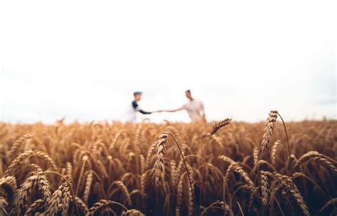 Good Food Finance Network Bringing Food To The Heart Of The Finance Agenda