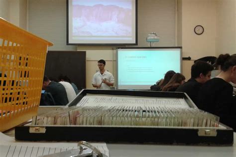 Bartha Árpád László Dr Anatómiai Szövet és Fejlődéstani Intézet