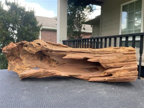 Malaysian Wood Aquariums Fish Riptiles Decoration Pet Supplies Art