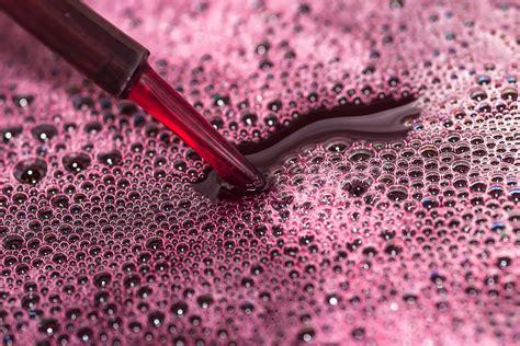 Extracting Color And Tannins A Deep Dive Into Punching Down And