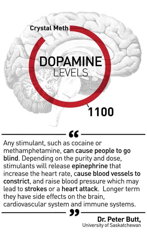 Crystal Methamphetamine Effects On The Brain