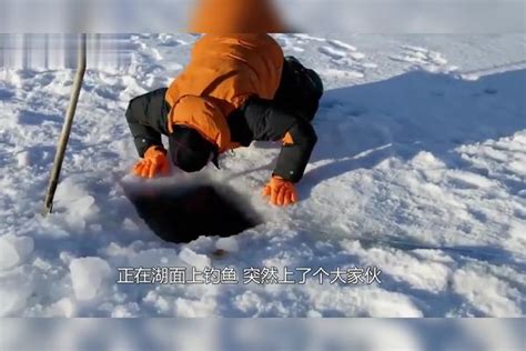 俩男子钓到一个大家伙，拉上来一看，瞬间不淡定了瞬间男子