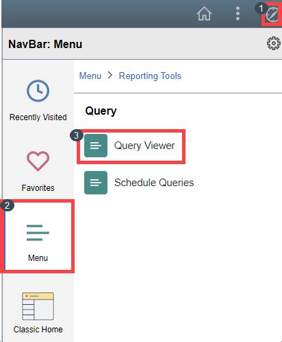How Do I Use The Query Viewer My SDSU