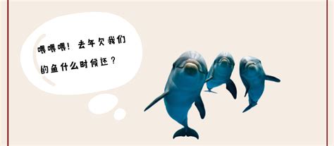 文化随行 极地科普 瓶鼻海豚双脚离地了智商就占领高地了