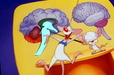 Pinky And The Brain S01 E05 Video Dailymotion