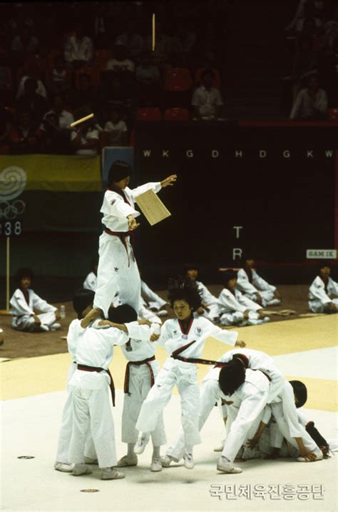 올림픽자료실 사진자료 서울올림픽경기 종목별