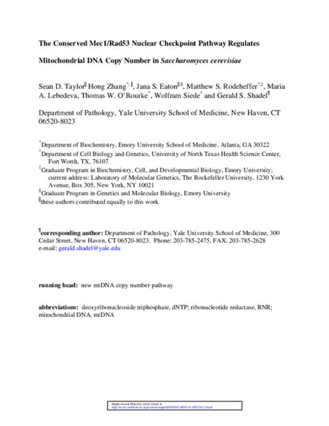 Pdf Mitochondrial Dna Copy Number In Saccharomyces Cerevisiae