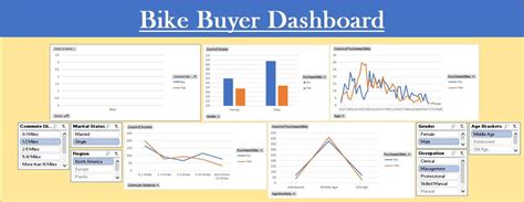 Community Project Tutorial Connections Bikebuyerdashboard Datadrivendecisions