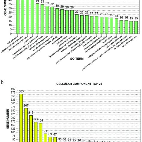 Heatmaps And Volcano Plots Of Differentially Expressed Genes A And C