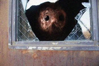 This Time The Window Was Open Trevor Henderson Creations Wiki Fandom
