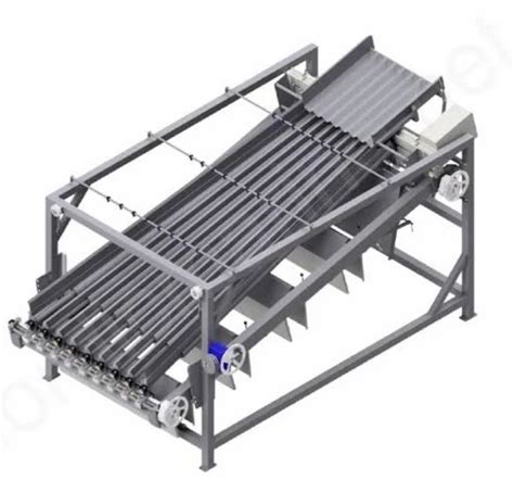 Fish Grading System Capacity 200 Kghr Grade Ss 604 At ₹ 150000 In