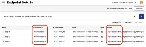 What You Cant Do With Kubernetes Network Policies Unless You Use