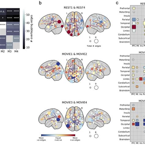 Anatomy Of Predictive Networks Across States Download Scientific Diagram