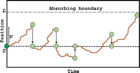 An Illustration Of Drift Diffusion Under Stochastic Restart Download