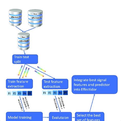 overview of the pipeline implemented in this work the input for the