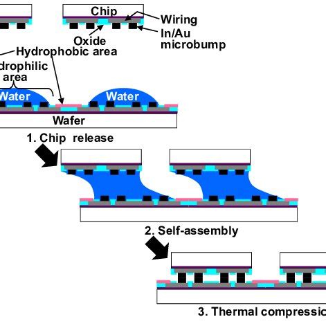 A Process Flow Of Massively Parallel Flip Chip Self Assembly Download Scientific Diagram