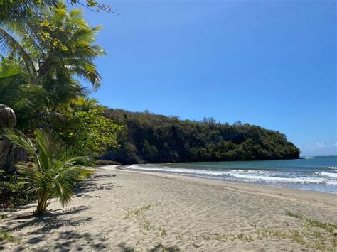 Mini Waterfall Hike Getyourguide