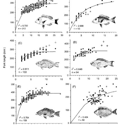 The Von Bertalanffy Growth Function L T L ∞ 1 E K T T 0 Fitted Download Scientific