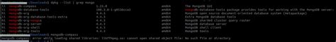 mongodb compass error in ubuntu 20 04 lts stack overflow