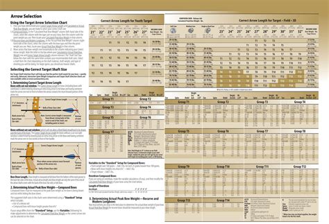 Beman Arrow Nock Size At Cecil Villanueva Blog