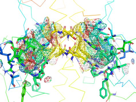 第5章 Pymol の様々な機能 Pymol Book