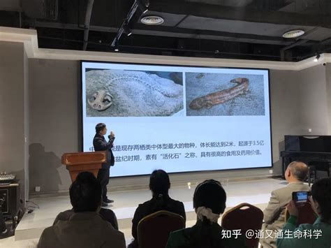 聚集大鲵低聚肽高值开发通又通生命科学集团在特膳赛道再出领先大招 知乎
