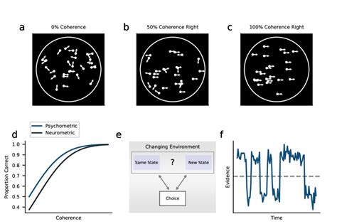 examples of perceptual decision making research a the random dot