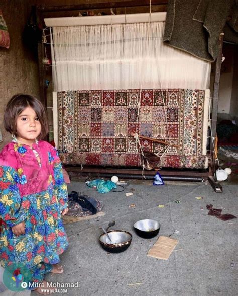 میترا محمدی نوژا