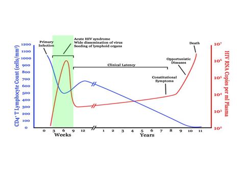 Sexual Exposure Chart Explained Ponasa
