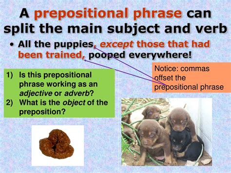 PPT PREPOSITIONAL PHRASES PowerPoint Presentation Free Download ID 9652525