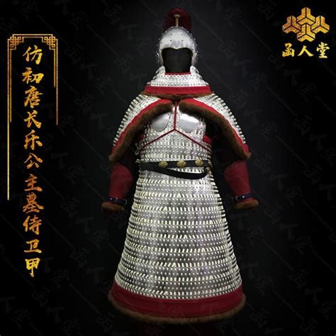 中国甲胄 Chinese Armor Tang Dynasty 初唐长乐公主墓侍卫甲 in 2023 Chinese