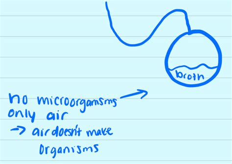 Evolution Flashcards Quizlet