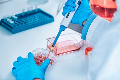 Made Scientific Cell Therapy Cdmo Process And Analytical Development