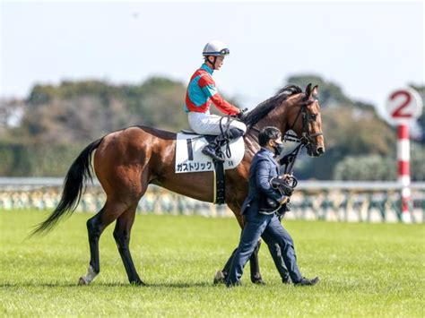 Jraで2歳giのホープフルs、大井でダートgi東京大賞典今週の競馬界の見どころ 2022年12月26日掲載 ライブドアニュース