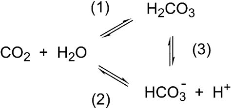 Hco3 Lewis Structure