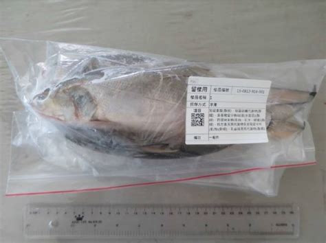「午仔魚突被中國禁售？」鄉民曝2關鍵打臉：政府一點責任都沒有嗎 Ettoday生活新聞 Ettoday新聞雲