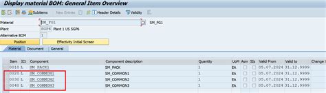 Sap Pp Mto Strategy 60 Scenario With Sap Screenshots Planning With Planning Material
