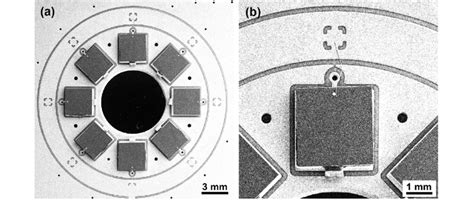 A Overview SEM Image Of Sensitive Detector Area B SEM Image Of Download Scientific Diagram
