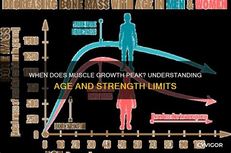 When Does Muscle Growth Peak Understanding Age And Strength Limits