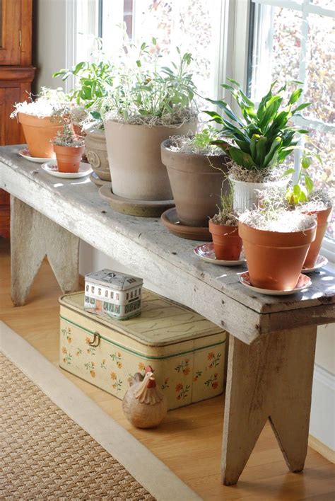 Diy Plant Table Simple Diy Fixes