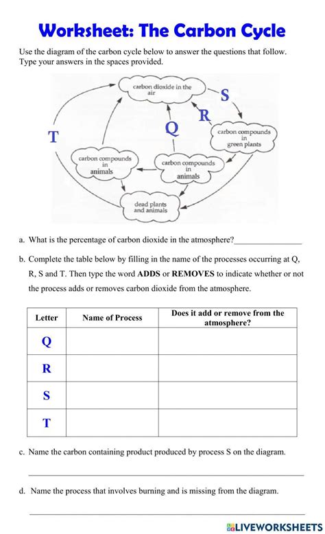 The Carbon Cycle Scienceb Live Worksheets Worksheets Library
