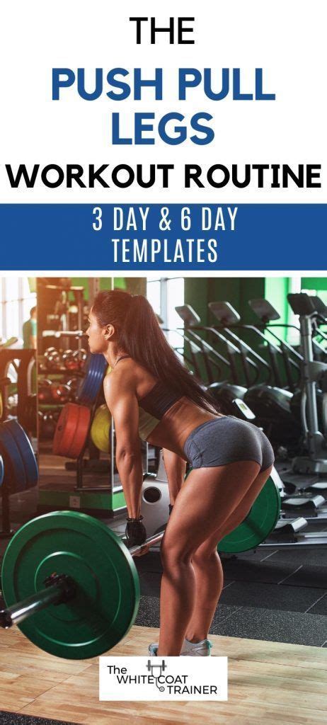 The Push Pull Leg Split Everything You Need To Know The White Coat